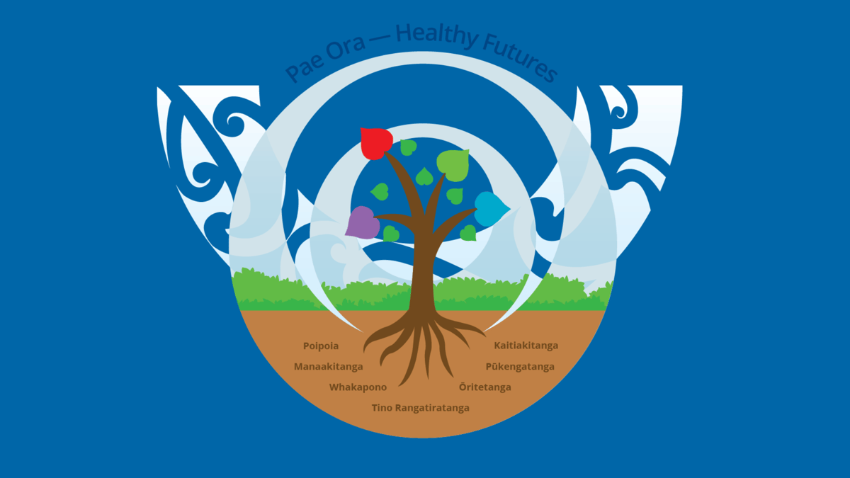 Enhanced Health Care Home Model of Care Booklet | Collaborative Aotearoa